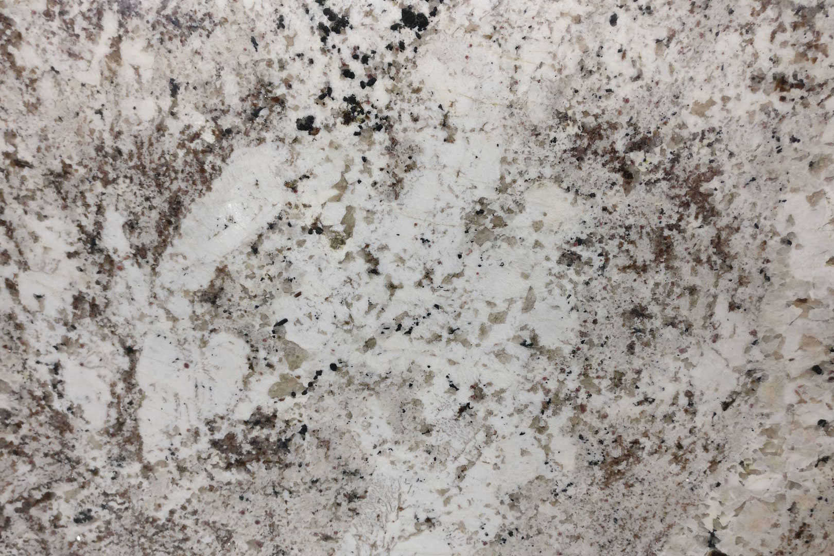 Alaska Cream — Bonotti Marble