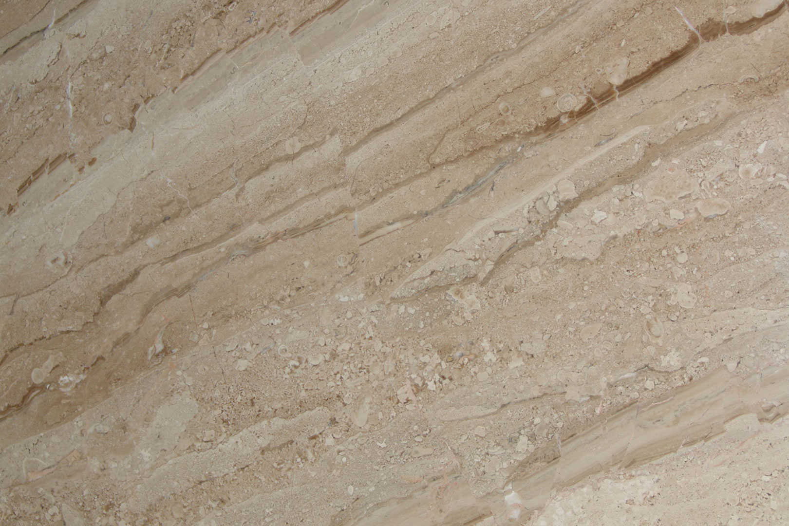 DAINO REALE – Marble Quartzite Granite Onyx