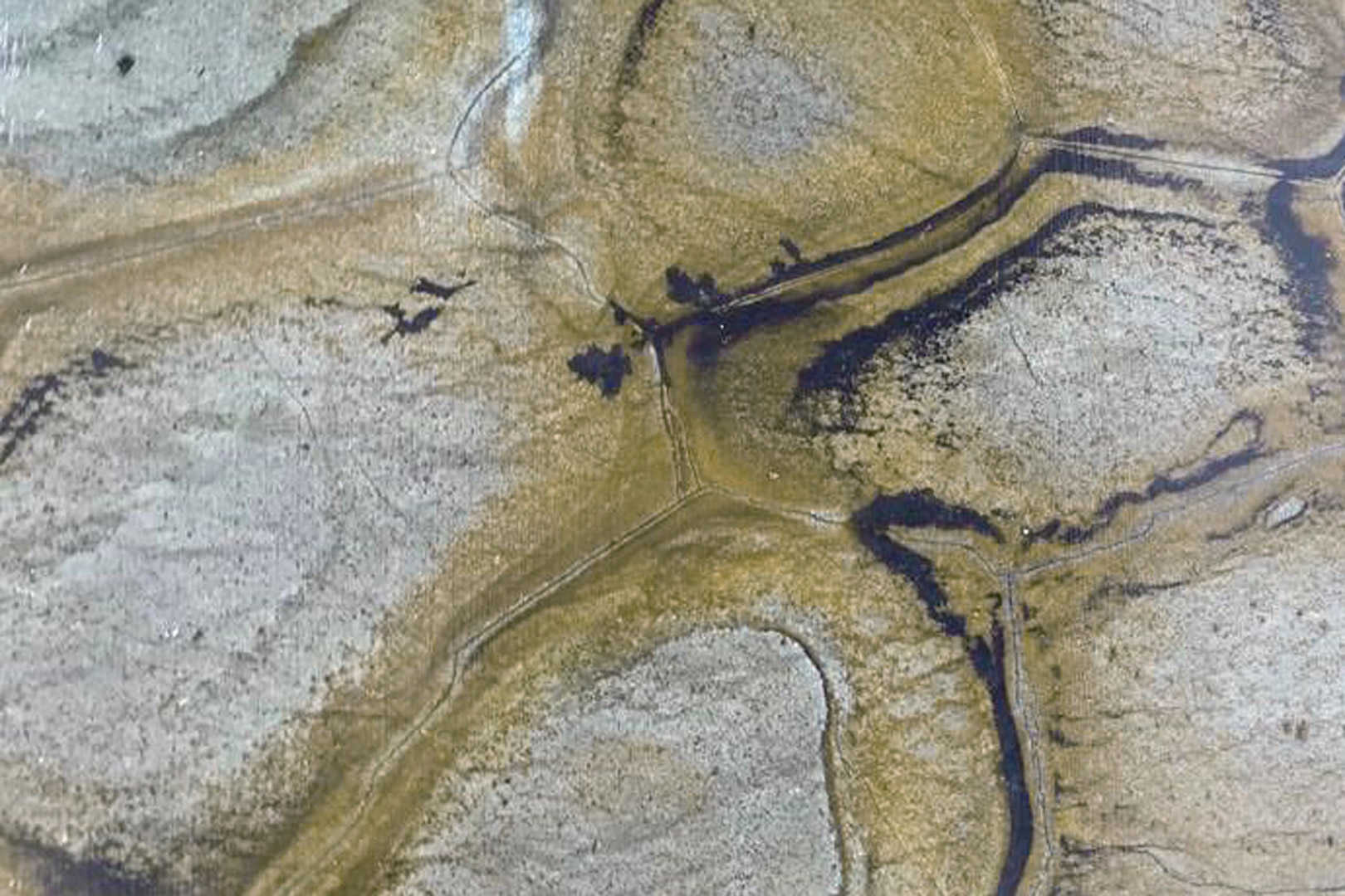 Brasilian Fossil — Bonotti Marble