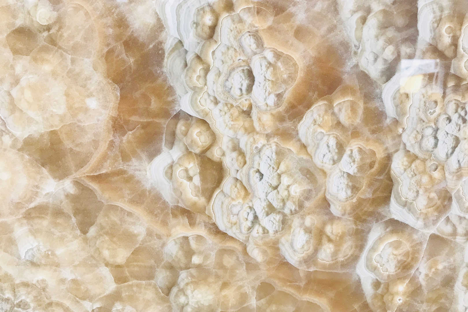 Onyx Honey Bubble — Bonotti Marble