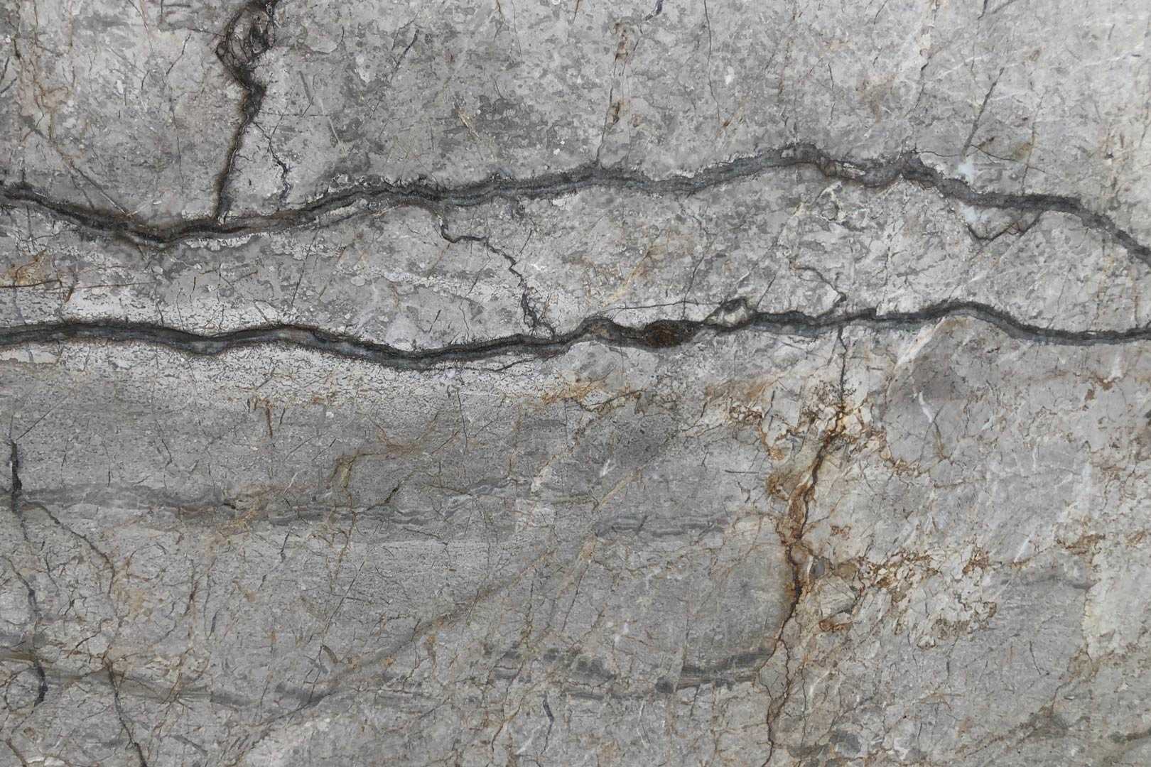 Silver Roots — Bonotti Marble